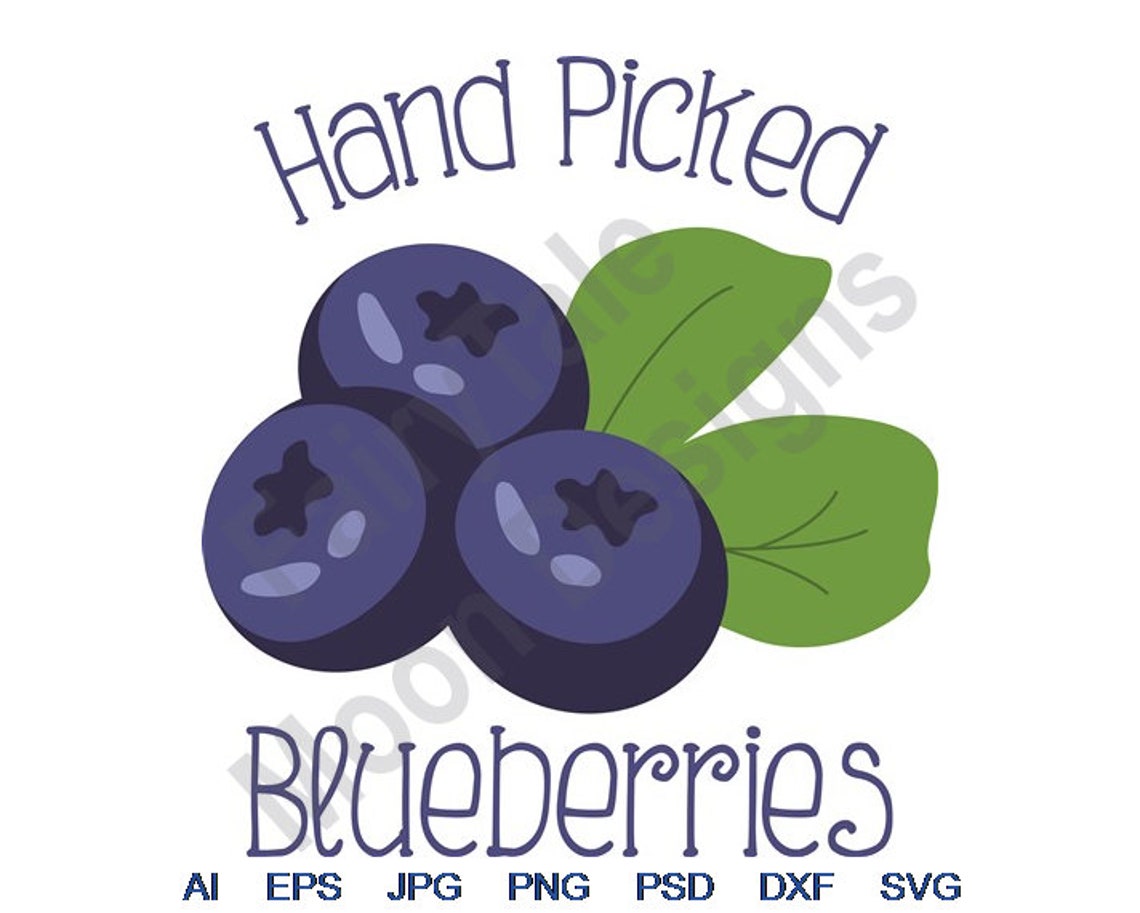 Hand Picked Blueberries Svg Dxf Eps Png Jpg Vector Art - Etsy