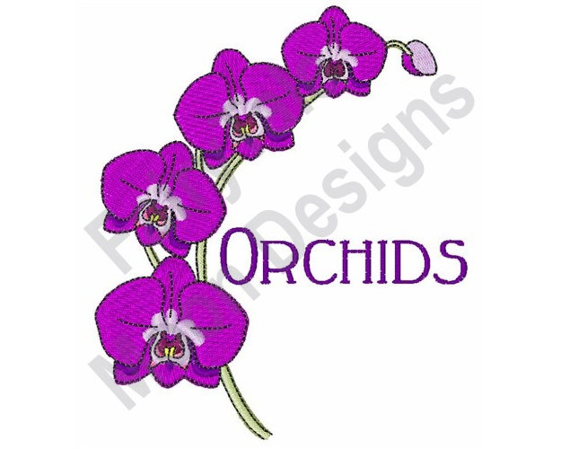 Orchids Machine Embroidery Design Purple Orchids Embroidery - Etsy