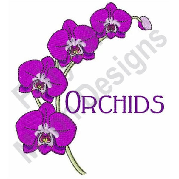 Orchid Pattern - Etsy