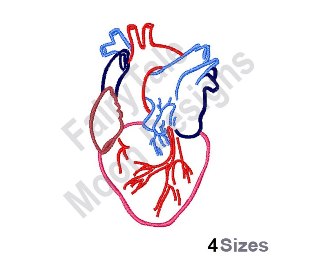 Heart Outline - Machine Embroidery Design, Anatomical Heart Embroidery ...