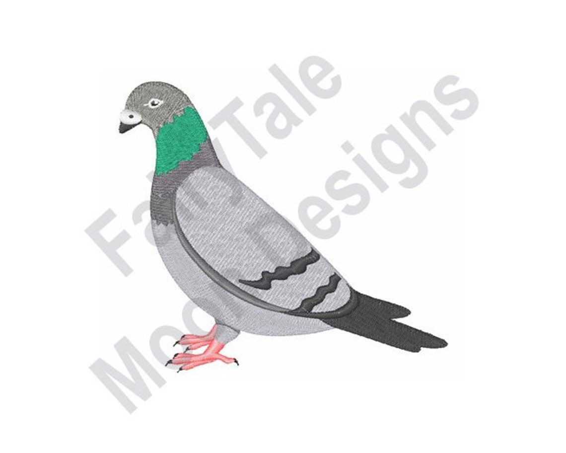 Pigeon Machine Embroidery Design Pigeon Embroidery Pattern - Etsy