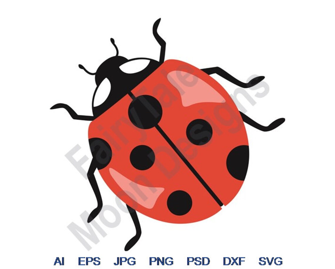 Ladybug Svg Dxf Eps Png Jpg Vector Art Clipart Cut - Etsy