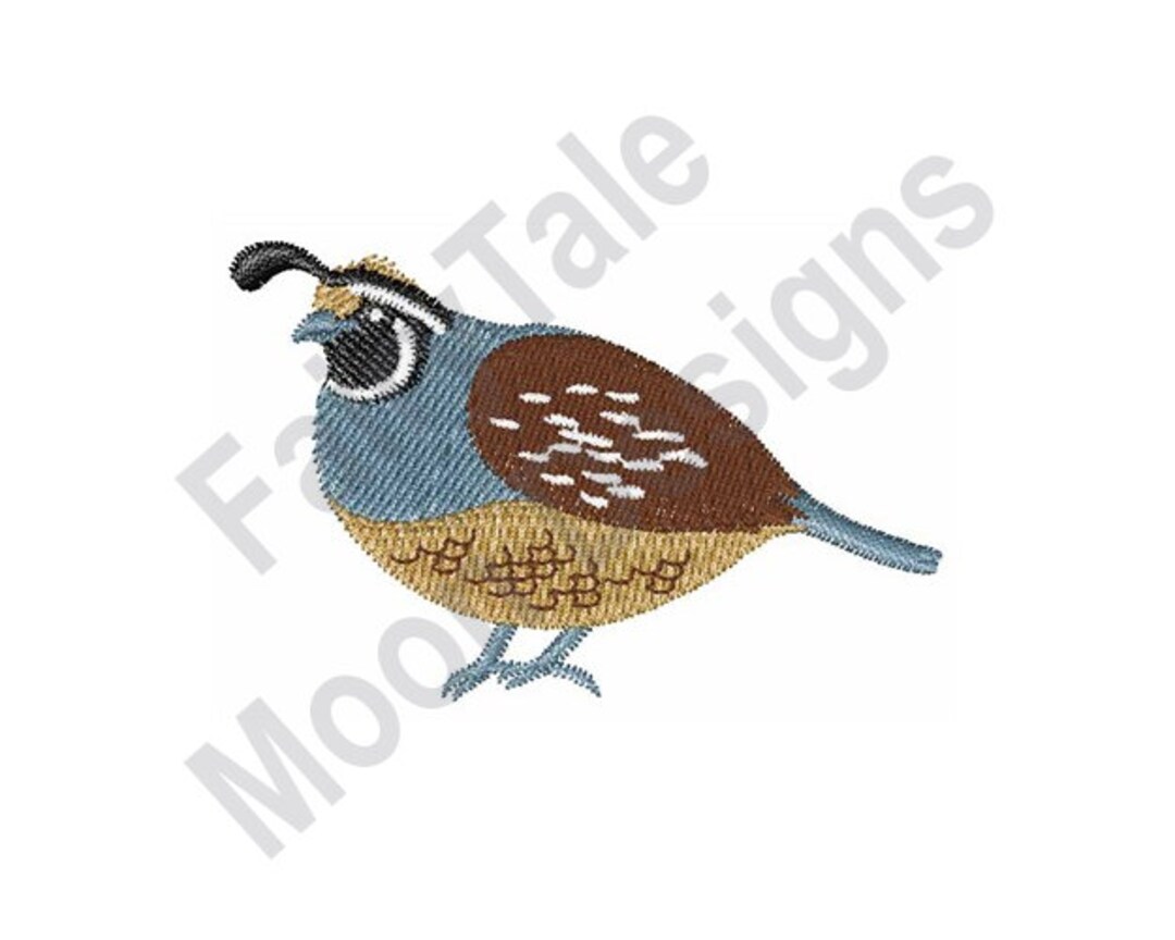 Valley Quail - Machine Embroidery Design, California Valley Quail ...