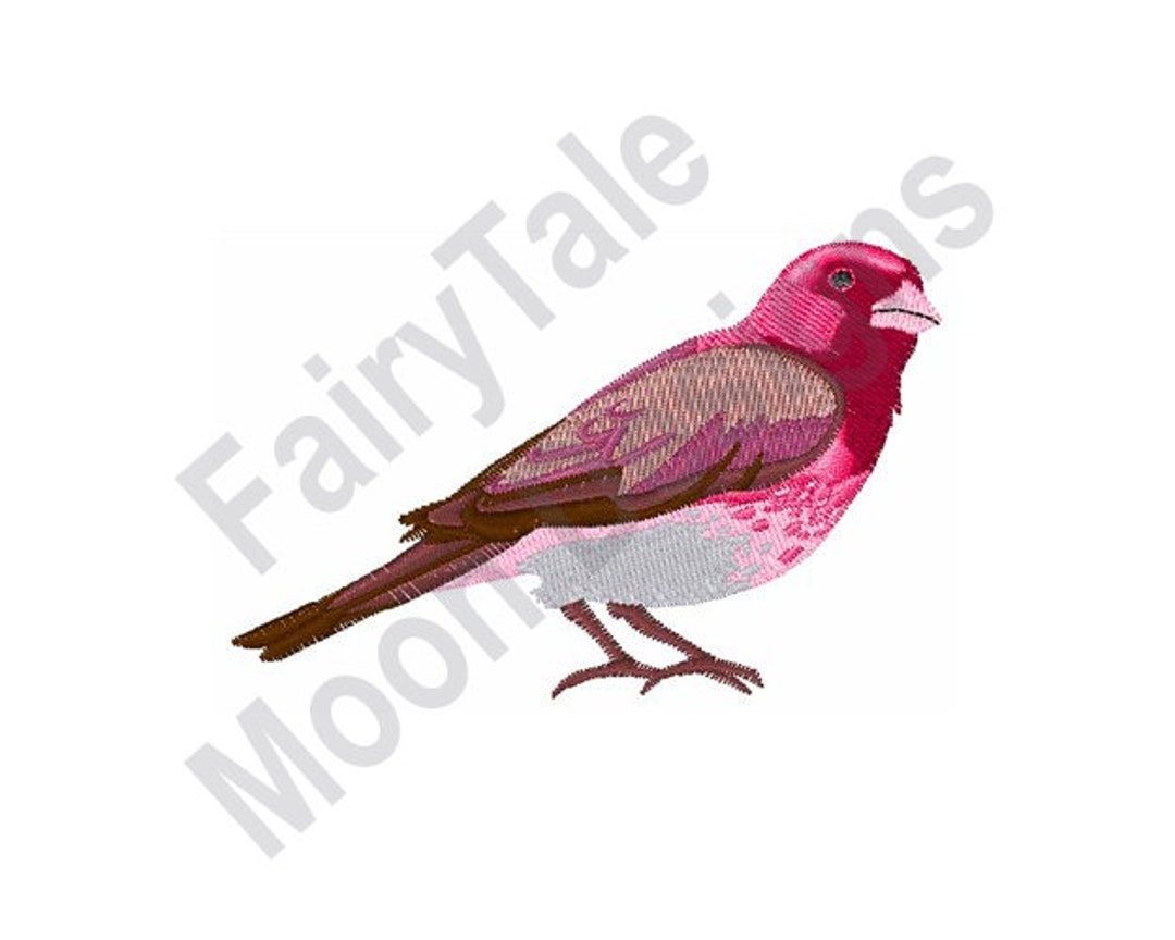 Purple Finch Machine Embroidery Design, Male Finch Embroidery Pattern ...