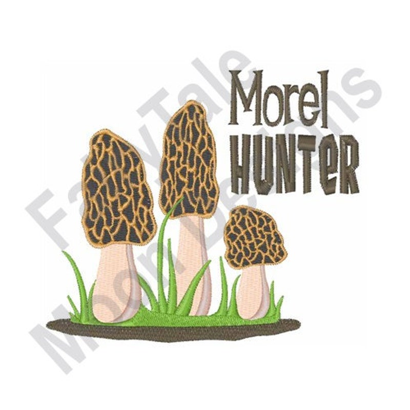 Morel Mushrooms - Etsy