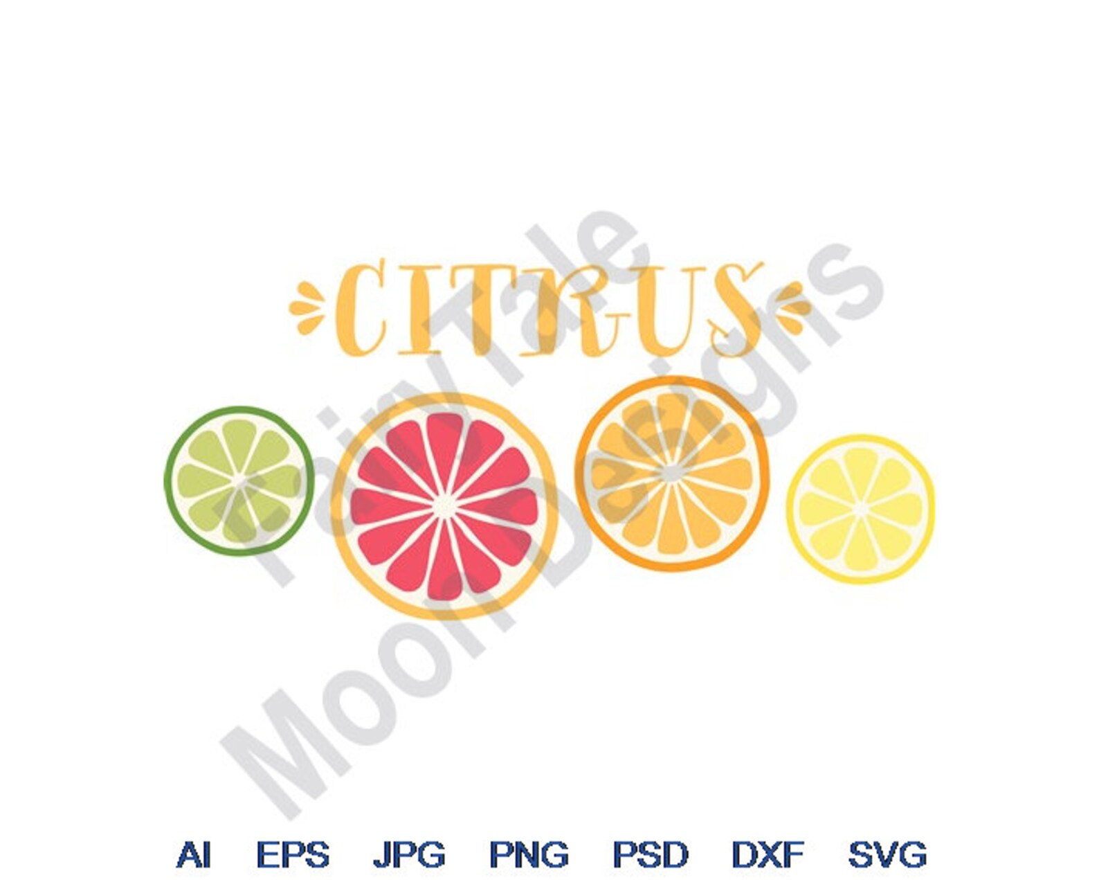 Citrus Fruit Svg Dxf Eps Png Jpg Vector Art Clipart - Etsy