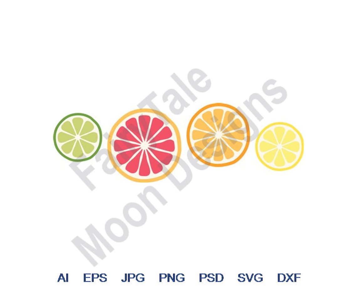 Citrus Fruit Svg Dxf Eps Png Jpg Vector Art Clipart | Etsy