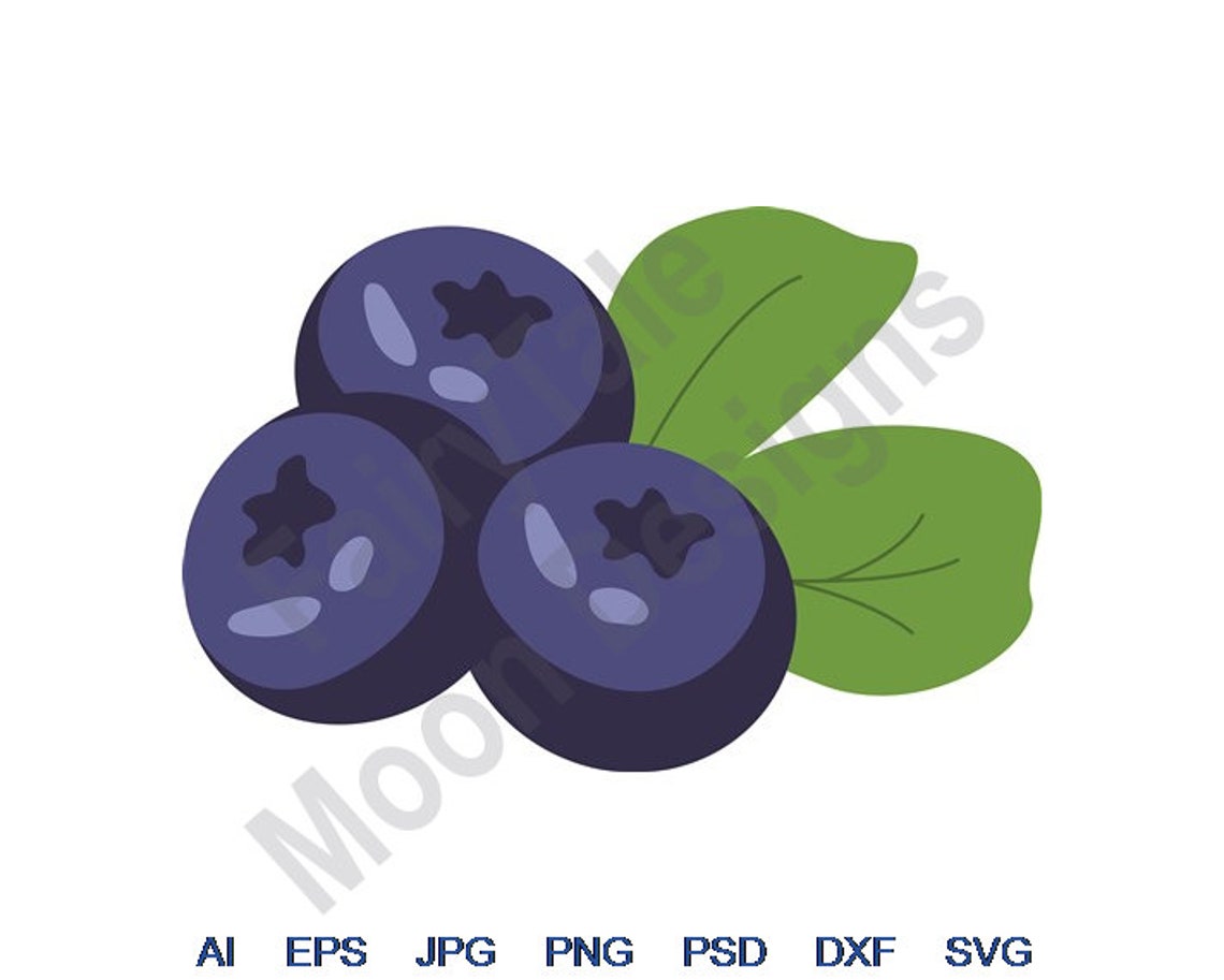 Blueberry Svg Dxf Eps Png Jpg Vector Art Clipart Cut | Etsy