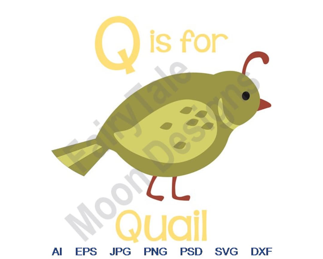 Q is for Quail Svg, Dxf, Eps, Png, Jpg, Vector Art, Clipart, Cut File ...