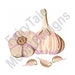 Garlic Bulbs - Machine Embroidery Design, Garlic Embroidery Pattern ...