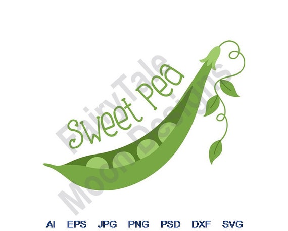 Sweet Pea Svg Dxf Eps Png Jpg Vector Art Clipart Cut | Etsy