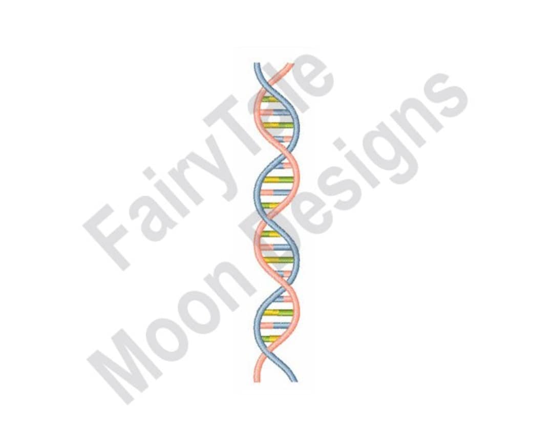 DNA Molecule Structure - Machine Embroidery Design, Double Helix ...