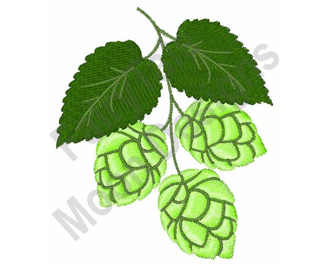 Bunch Of Hops Machine Embroidery Design Hops Bunch | Etsy