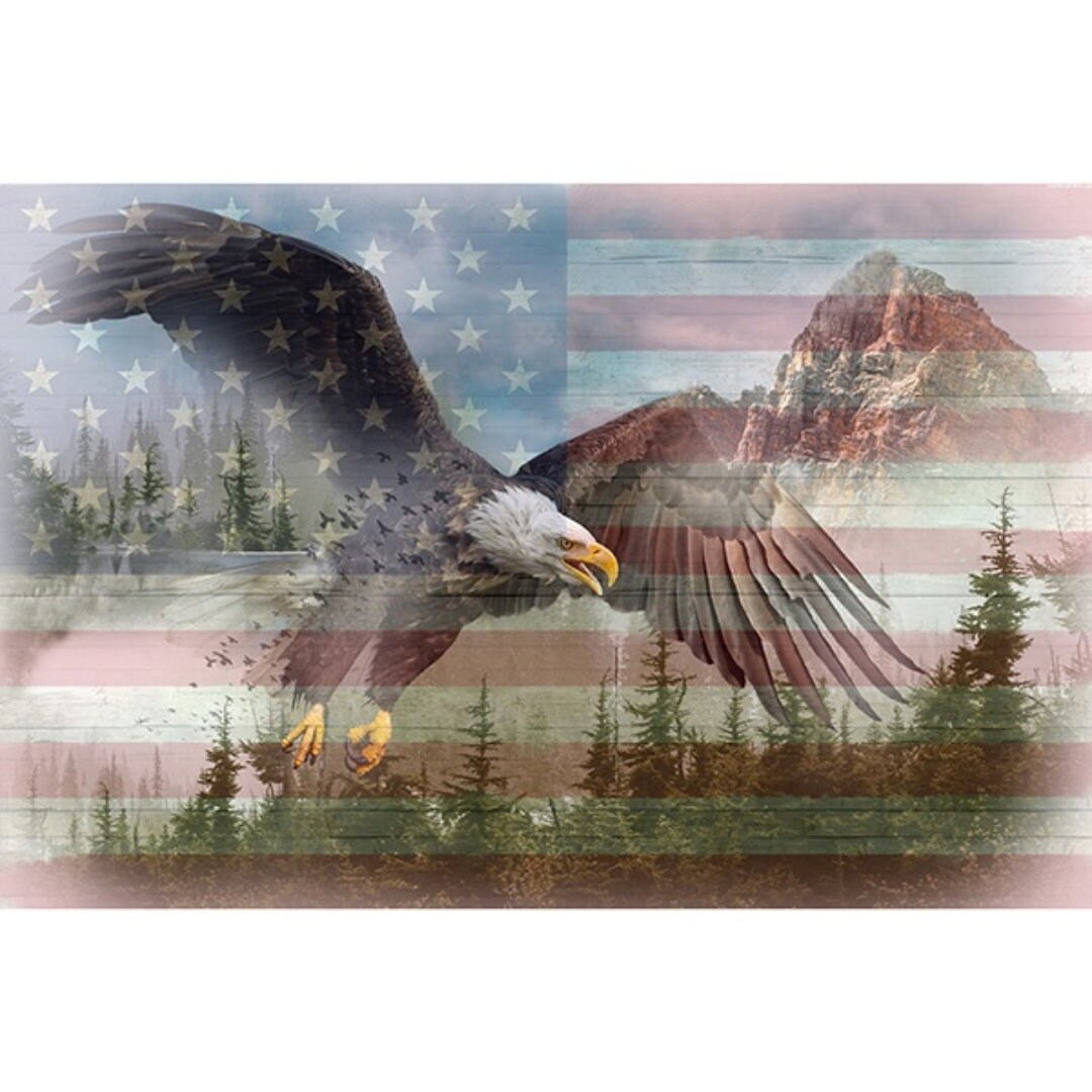 American Bald Eagle Digital Panel Eagle Panel 29 X 43 Americana Hoffman ...