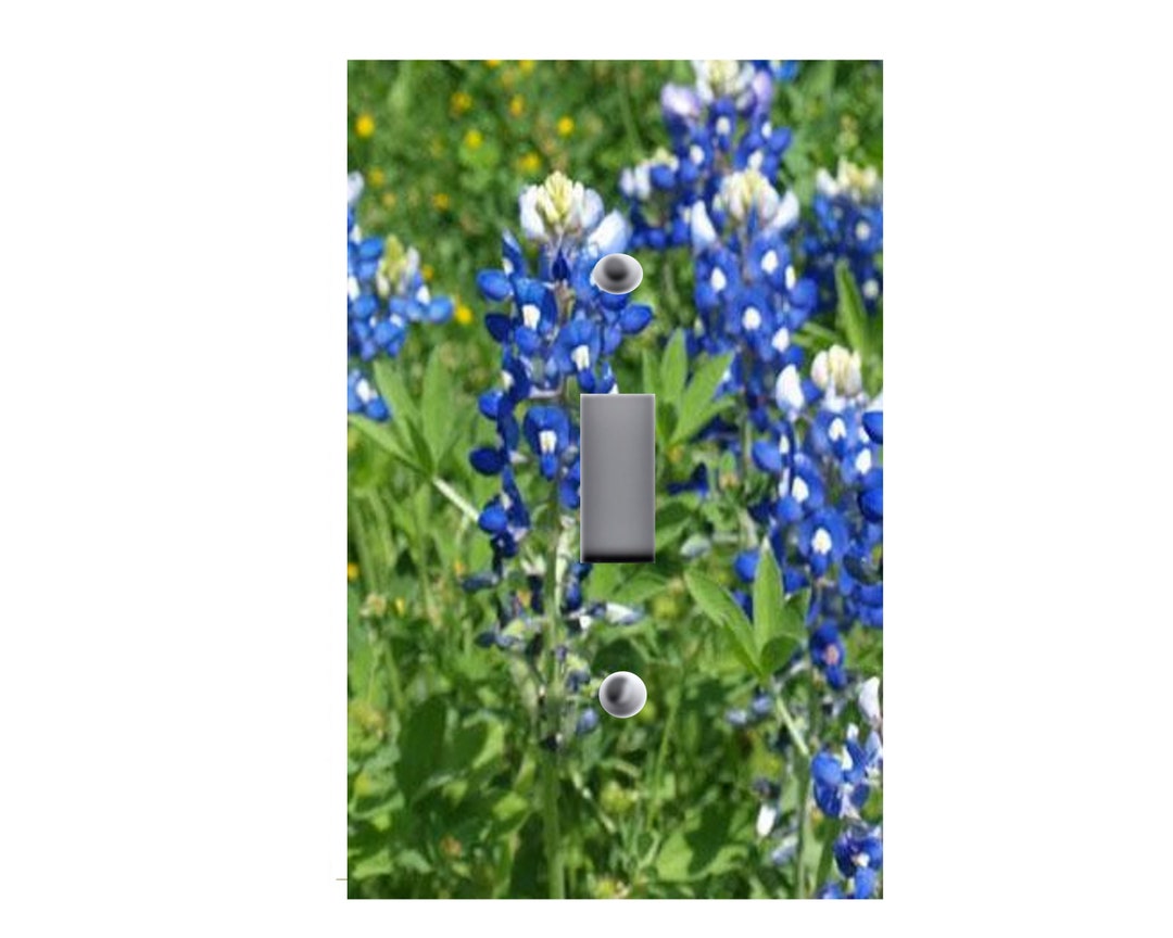 Electric Light Switch Plate Cover - Texas Bluebonnet 3 - Switch Plates ...
