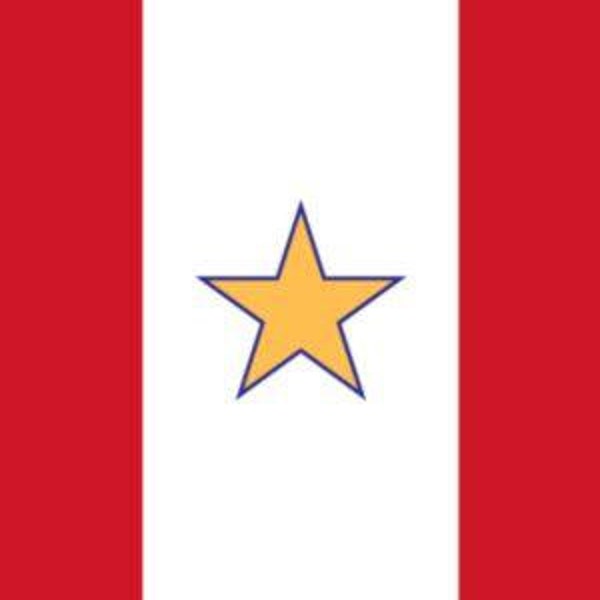 Military Star Decal - Etsy