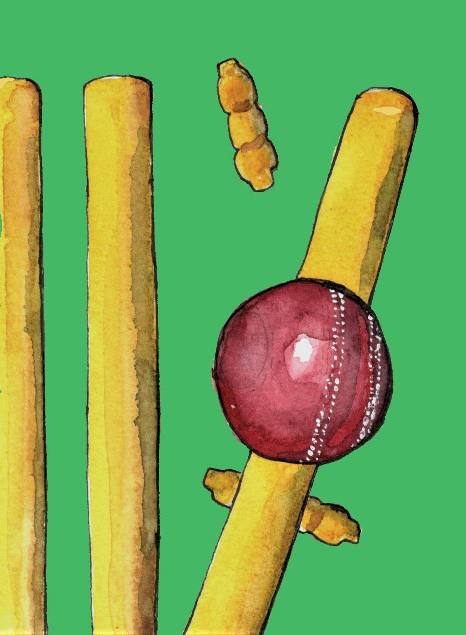 Cricket Art Card handmade from original Fun bowled wicket | Etsy