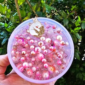 Moon Rabbit, Clear Slime, Gold Slime, Chinese Slime, Year of the Rabbit ...