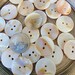 Mother of Pearl Buttons, 23mm Shell Buttons, 1 Inch Pearl Buttons, 2 ...