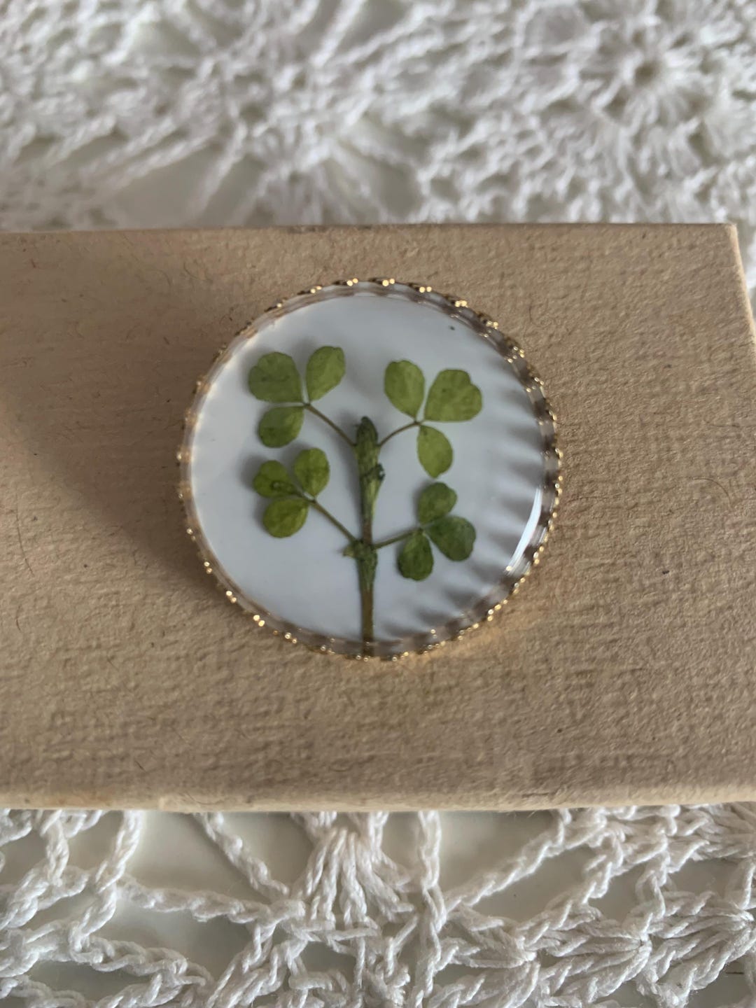 Round Lucite Bubble & Mounted Green Clover Center/ Clover Brooch/white ...