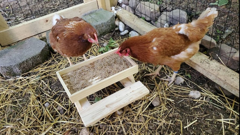 Large Chicken, Bird and Critter Picnic Table Chicnic Table Squirrel ...