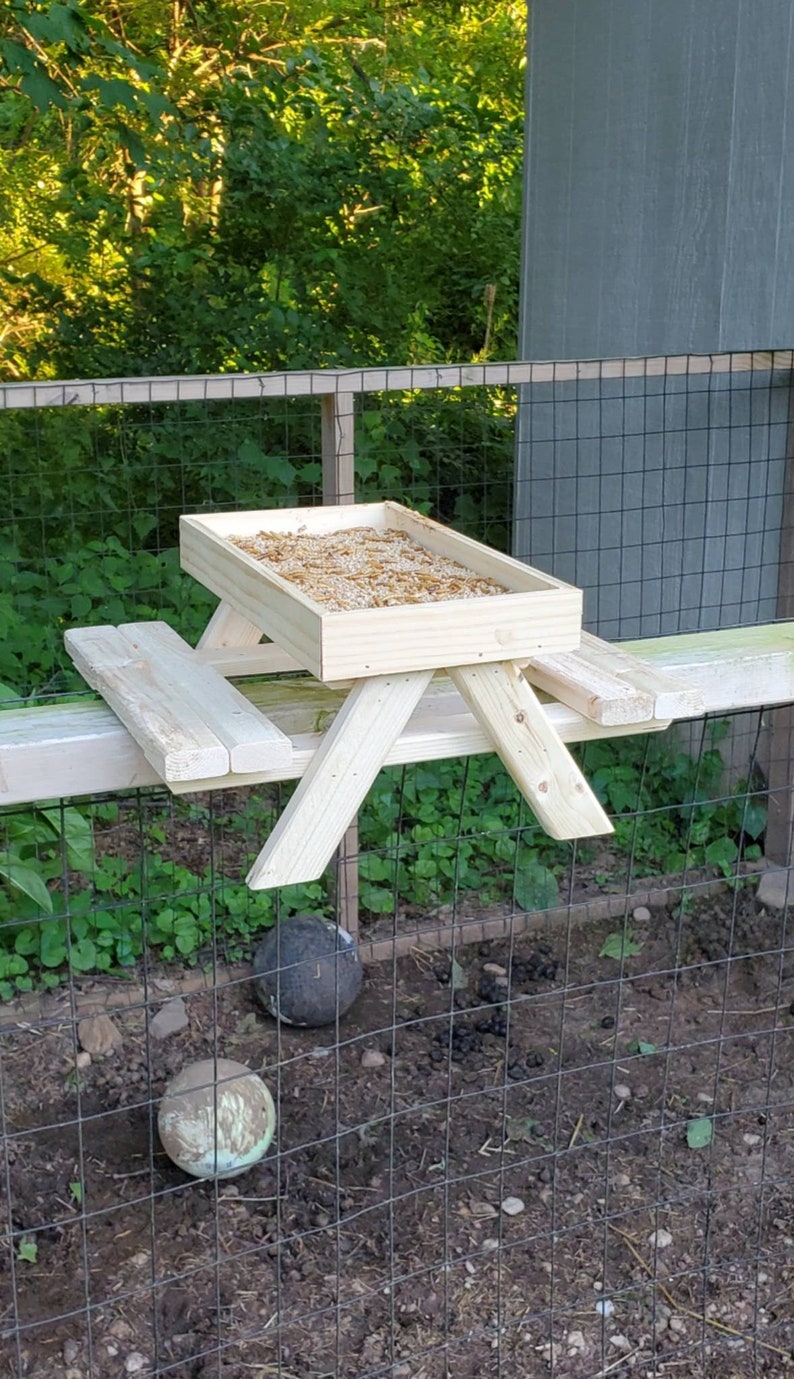 Large Chicken, Bird and Critter Picnic Table Chicnic Table Squirrel ...