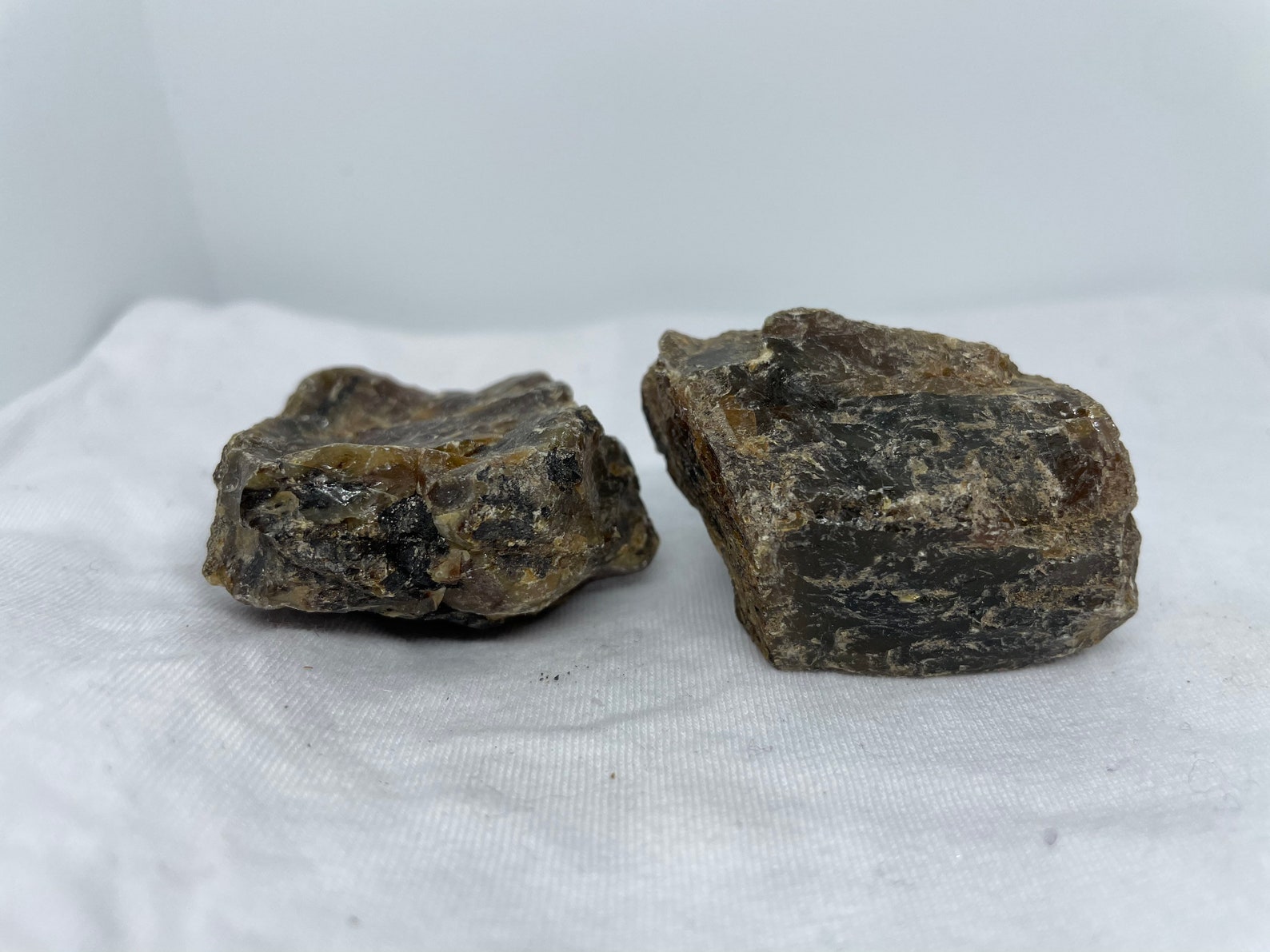 Florissant Black Amber tree sap | Etsy