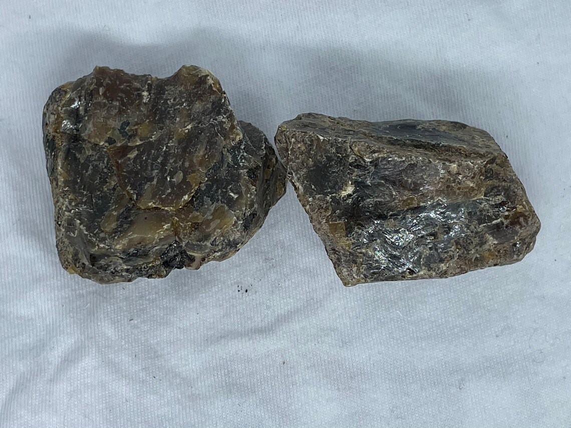 Florissant Black Amber tree sap | Etsy