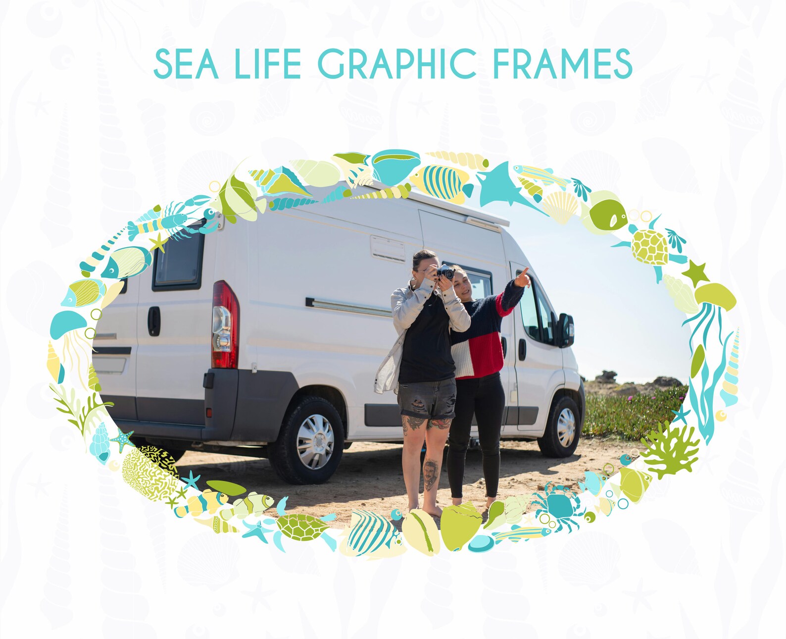 Digital Sea Shells PNG Frames. Ocean Graphic Rectangle and Oval SVG ...