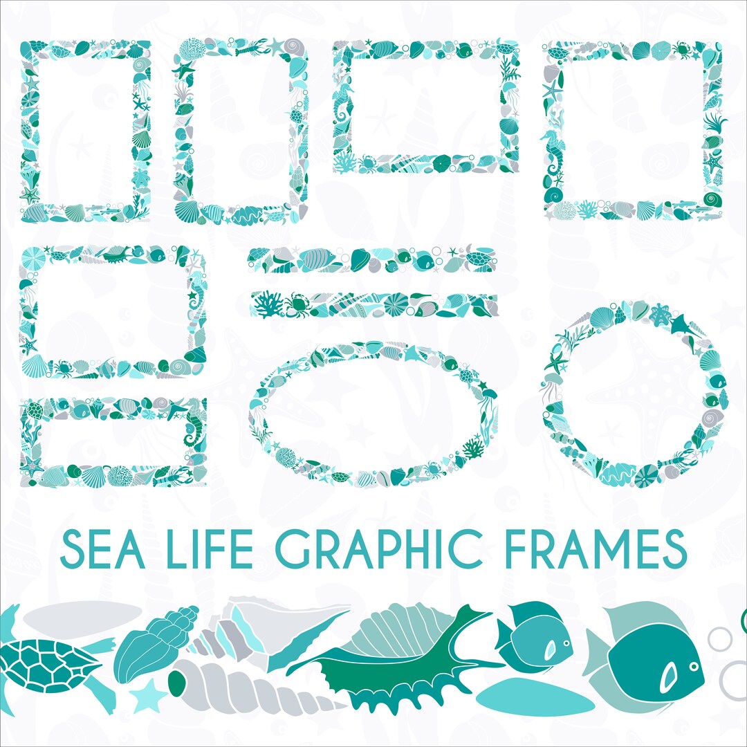 Tiffany Summer Shells PNG Frames. Sealife Graphic Rectangle SVG Clip ...