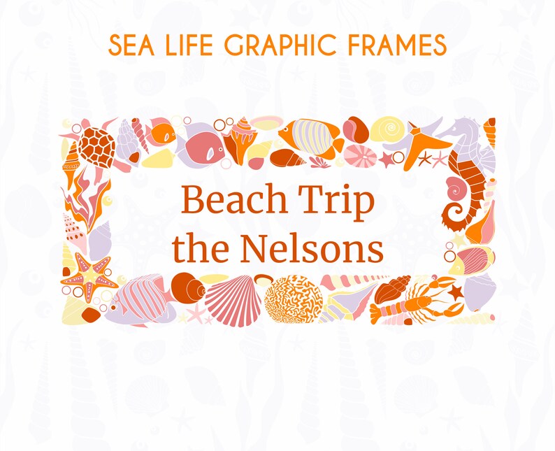 Ocean Corals and Shells PNG Border Decorations. Sea Life Ornamented ...