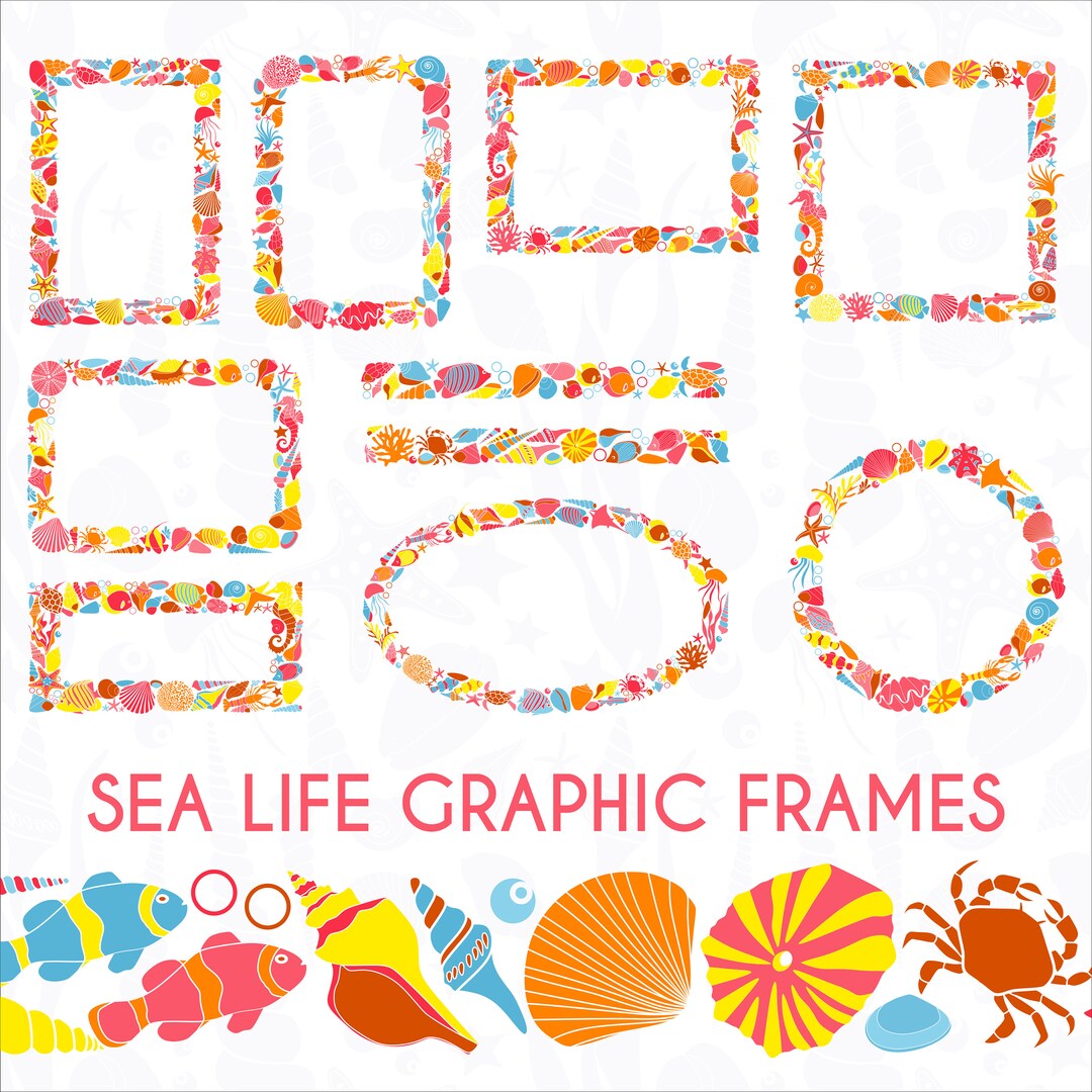 Digital Sea Shells PNG Frames. Ocean Graphic Rectangle and Oval SVG ...