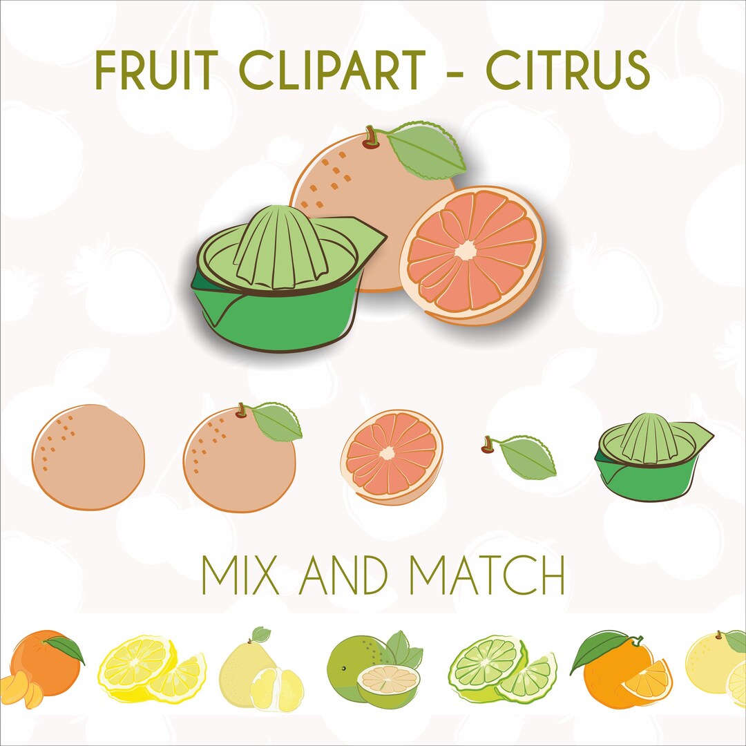 Bright Citrus Clipart Collection. Hand-drawn Citrus Fruits, Including ...