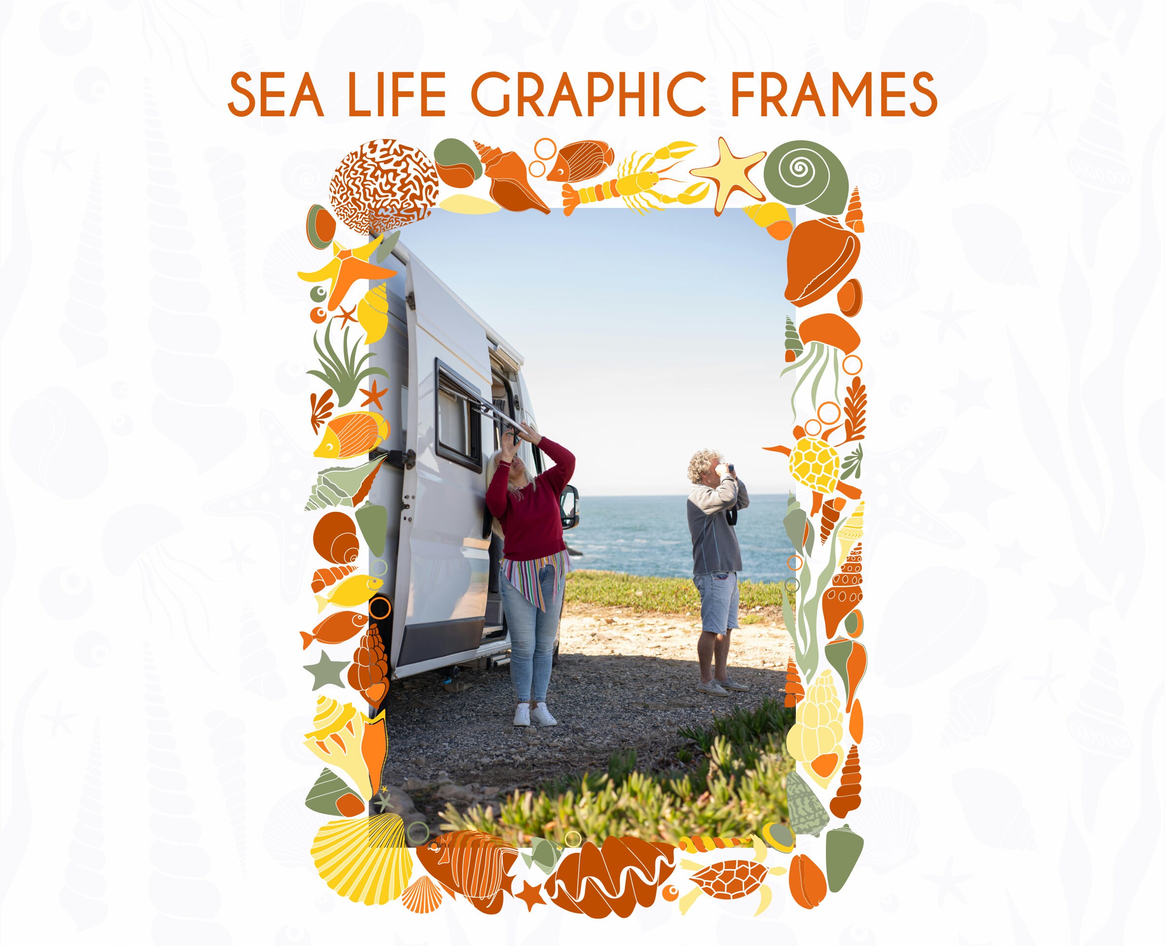 Pink Sea Life Elements Photo's Graphic Frames. Decorative Colorful ...