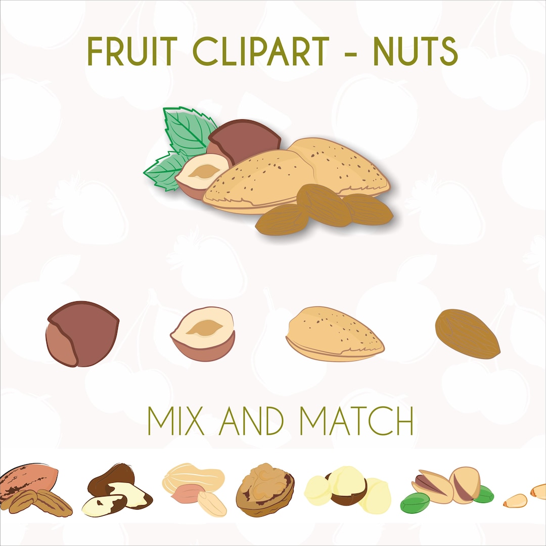 High-quality Nuts Clipart Collection. Beautifully Illustrated ...