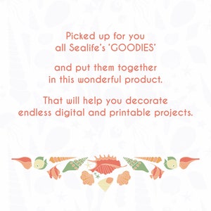 Seashell Clip Art Pink Alphabet. Cute Girls Sealife Digital Fonts ...