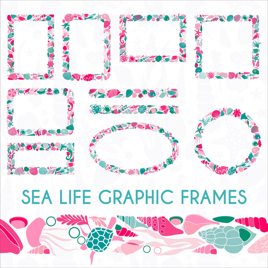 Ocean Corals and Shells PNG Border Decorations. Sea Life Ornamented ...