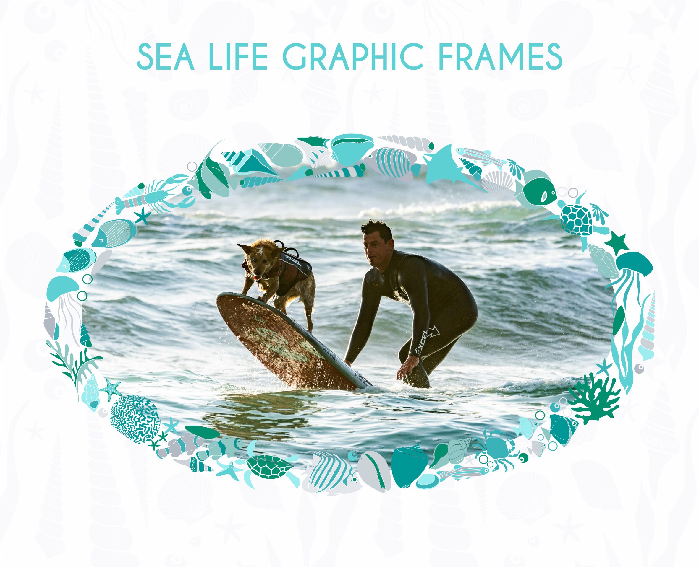Tiffany Summer Shells PNG Frames. Sealife Graphic Rectangle SVG Clip ...