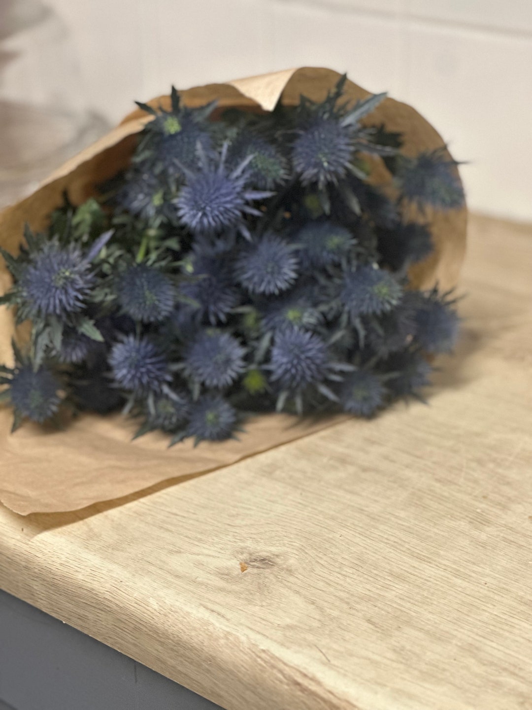 Fresh Blue Thistle | Scotch Thistle | Eryngium | Natural Thistle ...