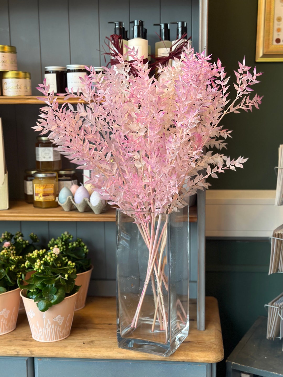 Pink Ruscus Real Ruscus Natural Ruscus Dried Pampas Dyed Pink Dried ...