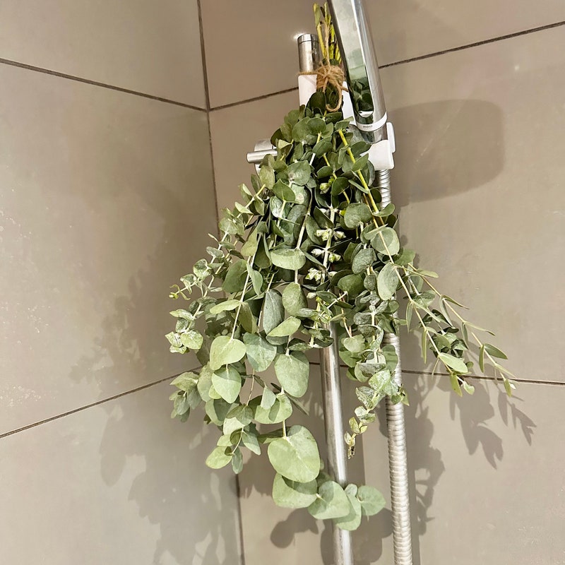 Dried Plant Home Decor - Etsy UK