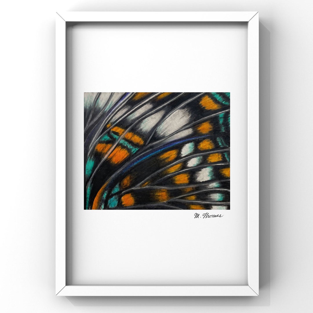 Butterfly Wing - PRINT - Multiple Sizes - Etsy
