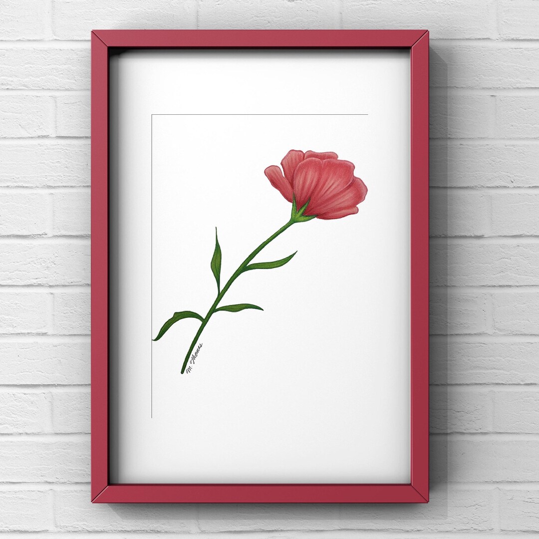 Pink Poppy - PRINT - Multiple Sizes - Etsy
