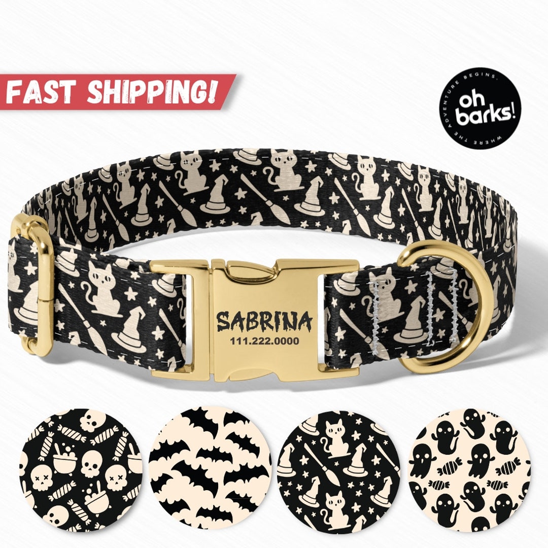 Halloween Spooky Witchy Hat Dog Collar , Dog Collar With Leash , Skulls ...