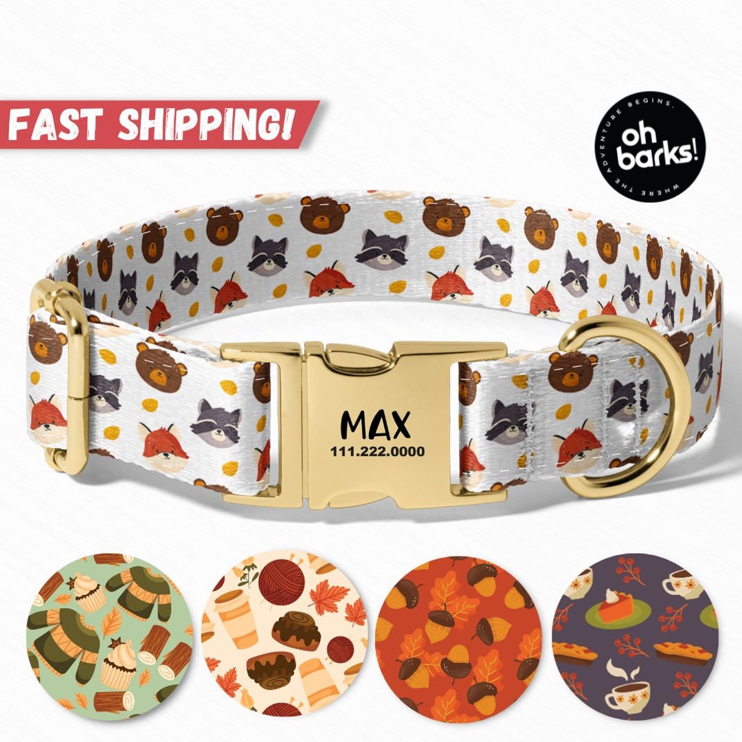 Dog Collar, Fall Autumn Thanksgiving Dog Collars , Pumpkin Fall ...