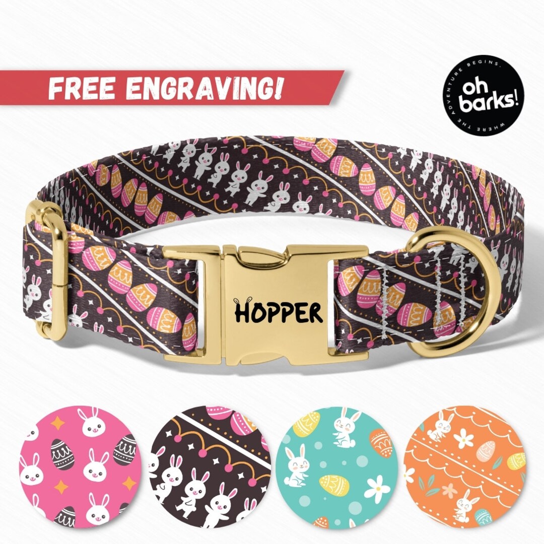 Floral Easter Dog Collar, Personalized Chocolate Bunny Dog Collar With ...