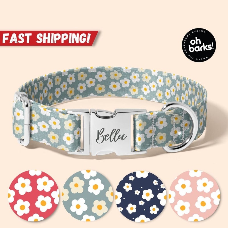 Cute Dog Collar - Etsy