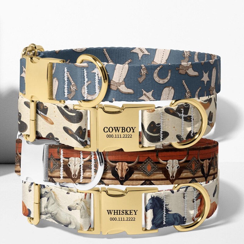 Western Dog Collar - Etsy