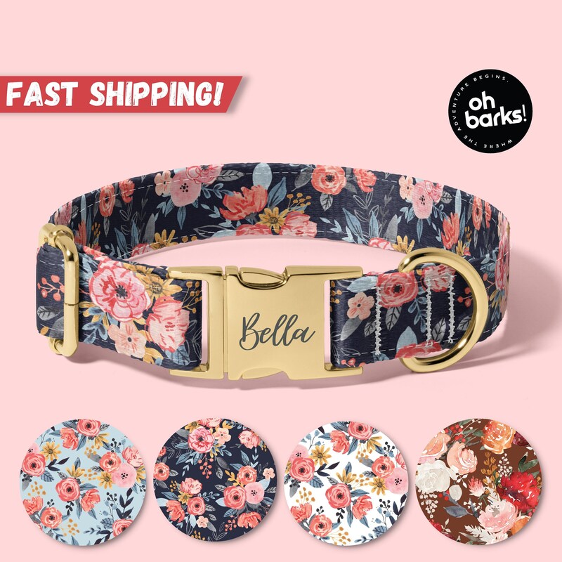 Girl Dog Collar - Etsy