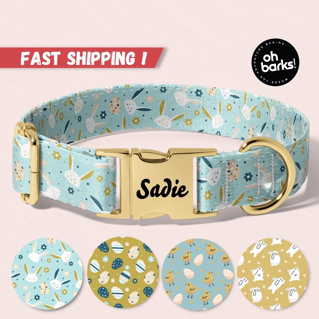 Easter Bunny Dog Collar, Floral Dog Collar With Name, Girl Dog Collars ...